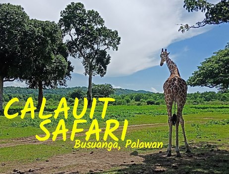 3D/2N CALAUIT SAFARI PACKAGE – Sean's Viajero